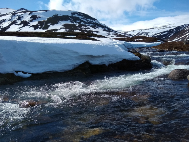 Water Environment - Spey Catchment Initiative