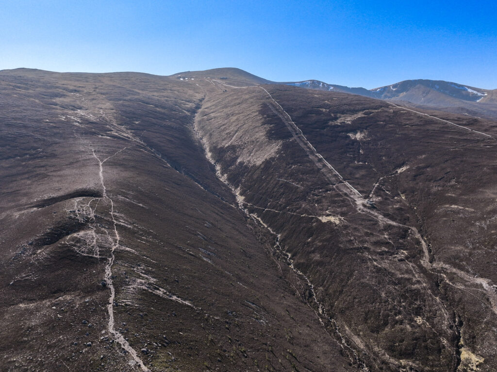 Montane Woodland to Return to Cairngorm Mountain in Landmark ...